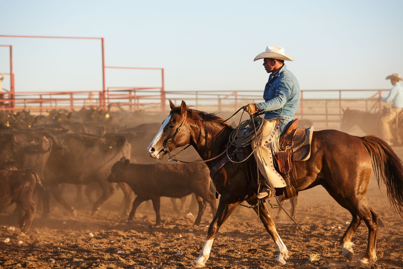 6666 Ranch – Gustav Schmiege Photography
